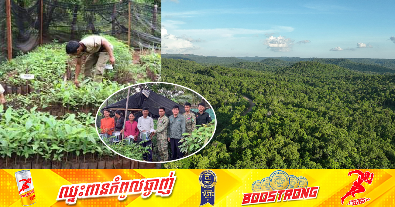 សហគមន៍ត្រៀមនឹងយកកូនឈើចំនួន១០ ០០០ដើមទៅដាំនៅដែនជម្រកសត្វព្រៃកែវសីមា - Khmernote